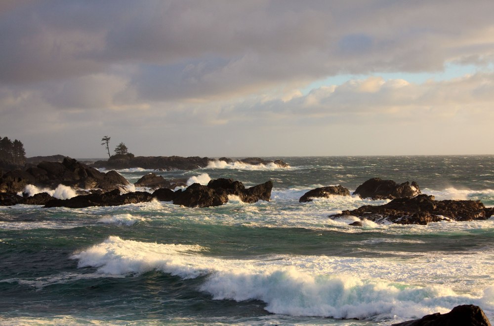 Understanding the Oceans Course