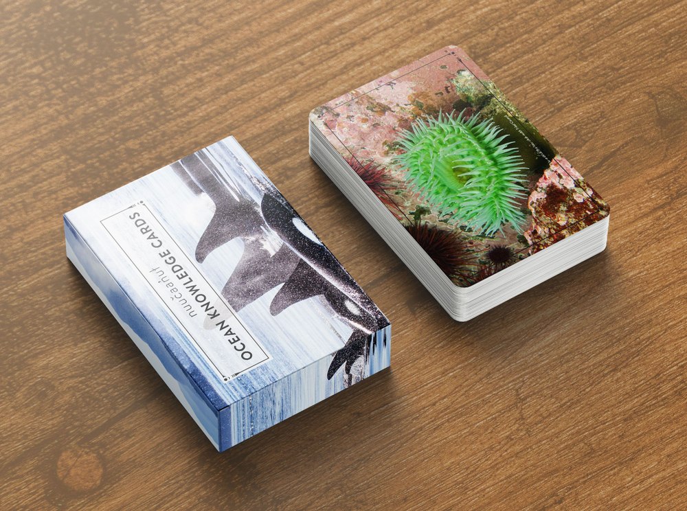 Ocean Knowledge Cards
