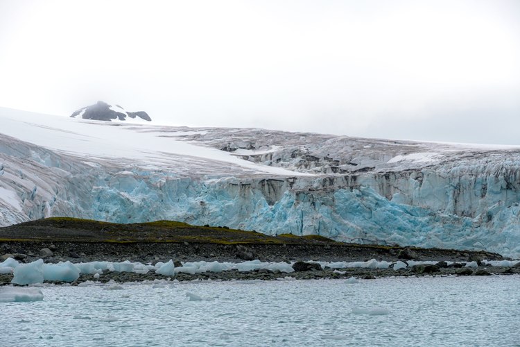 Ocean Networks Canada