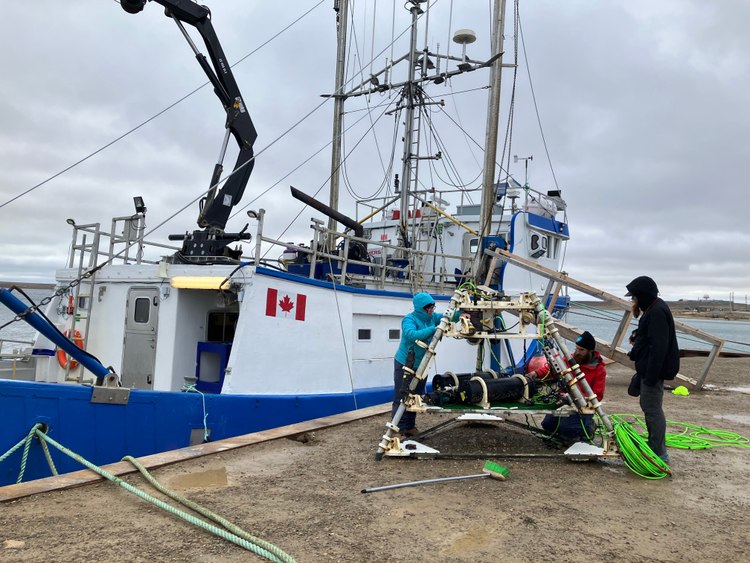 Cambridge Bay Observatory: the forerunner to community ocean monitoring ...