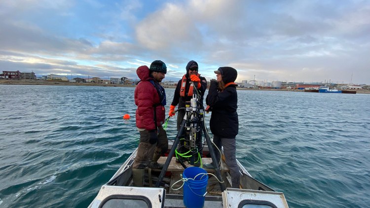 Celebrating 10 years, Cambridge Bay Observatory