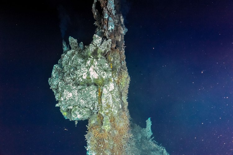 Wiring the Abyss | Interactive marine tech lab activity