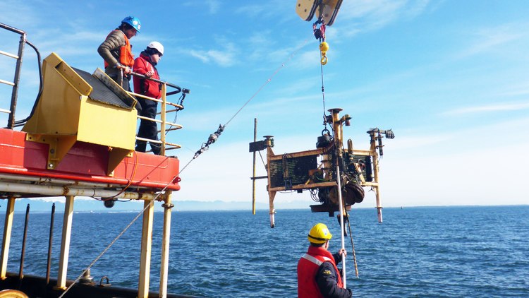 Ocean Networks Canada