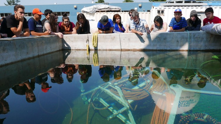 Ocean Networks Canada