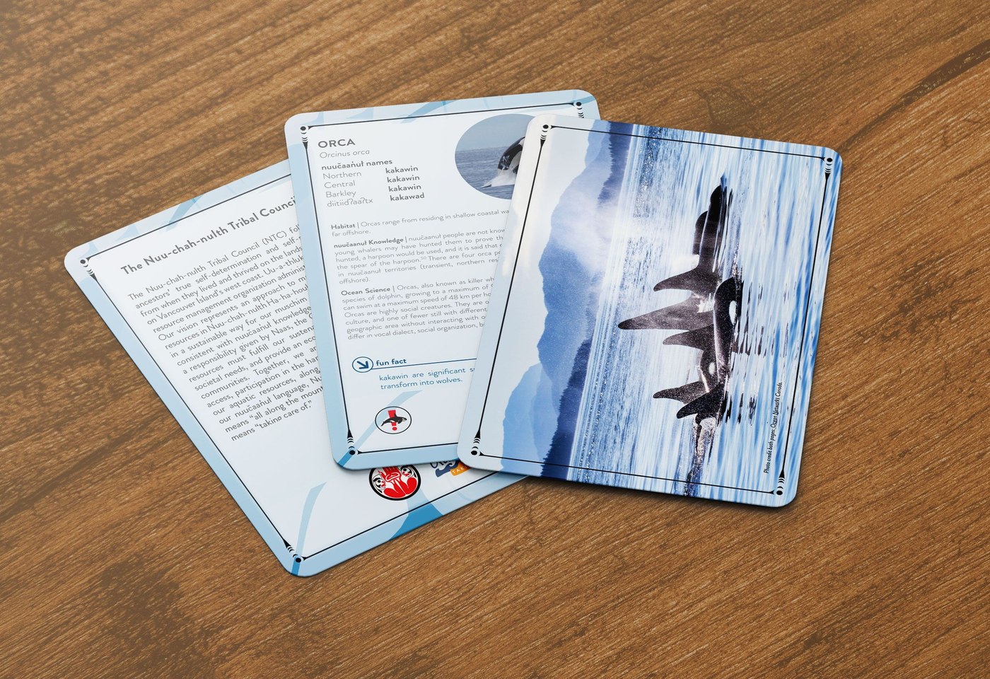 Ocean Knowledge Cards